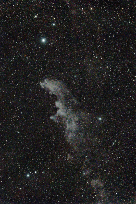 昔は美女だったかもしれない”IC2118魔女の横顔星雲”: にわとり天体写真